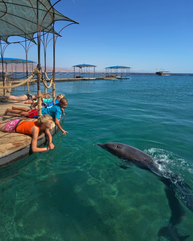 The Ultimate Guide To Scuba Diving In The Red Sea