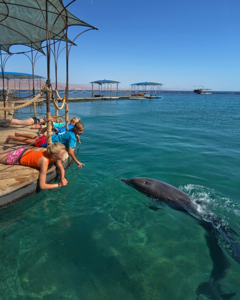 The Ultimate Guide To Scuba Diving In The Red Sea
