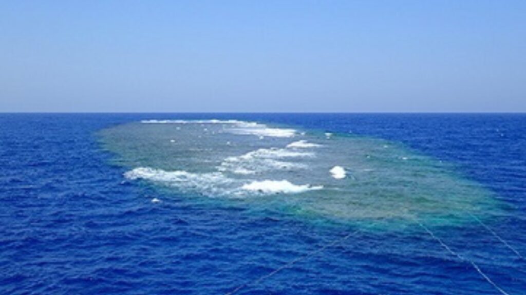 The Ultimate Guide To Scuba Diving In The Red Sea