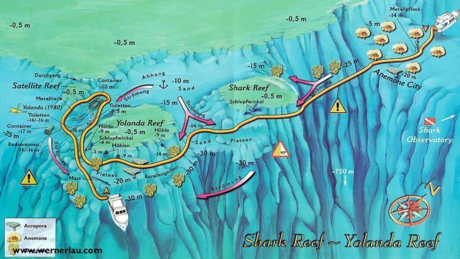 The Ultimate Guide To Scuba Diving In The Red Sea