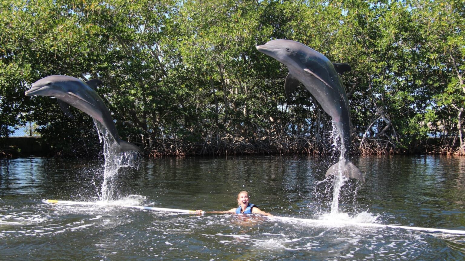 The 15 BEST Things To Do In Key Largo According To Locals