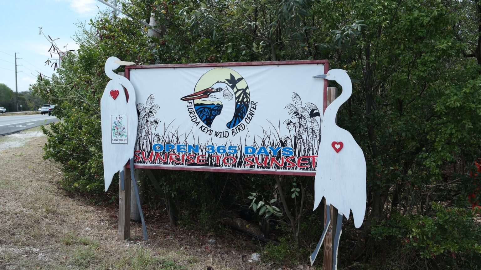 The 15 BEST Things To Do In Key Largo According To Locals