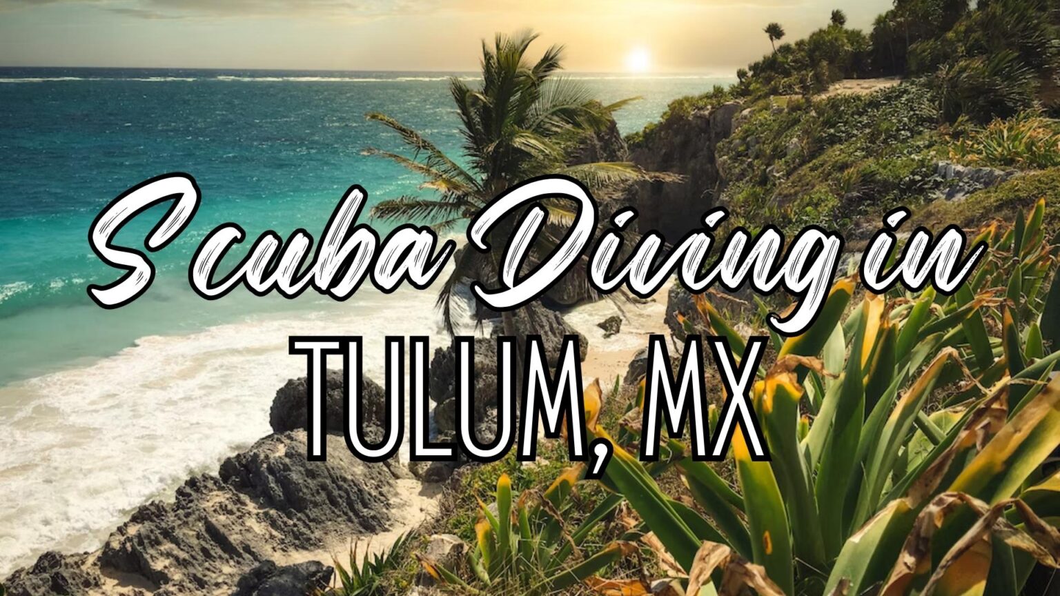 The Ultimate Guide To Scuba Diving Tulum Mexico
