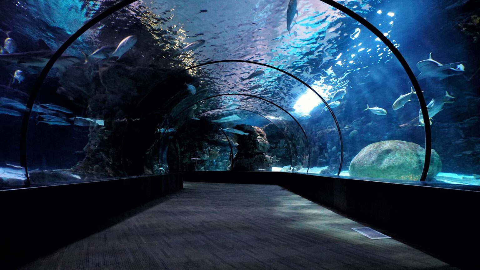 The 15 Best Things To Do In Tulsa According To Locals