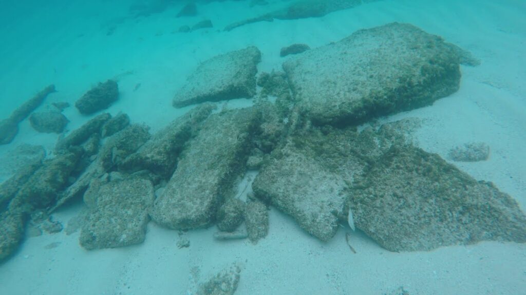 The Ultimate Guide To Scuba Diving In Bimini, Bahamas ...
