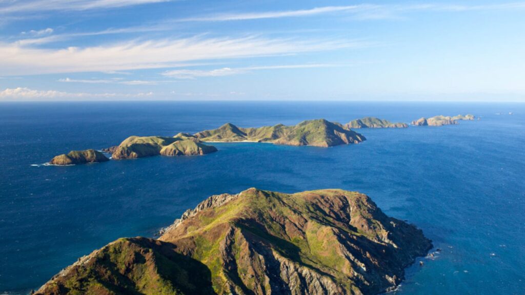 The Ultimate Guide For Scuba Diving In Costa Rica ...