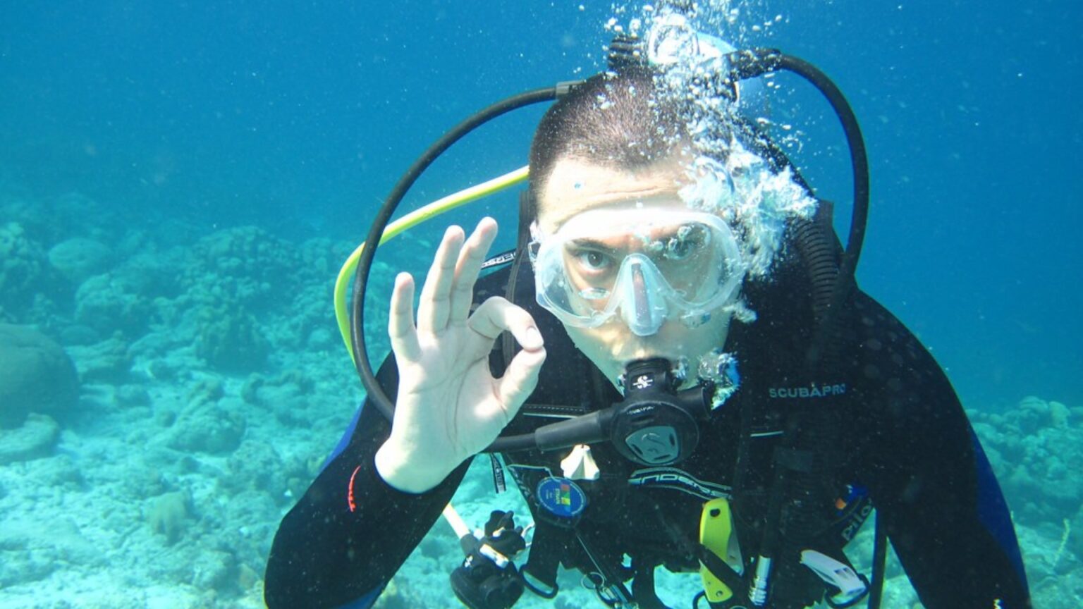 The 10 hand signals you HAVE to know while scuba diving (according to a ...
