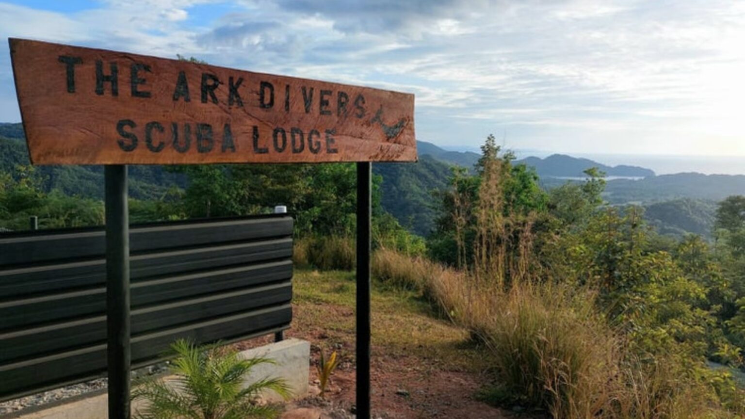 The Ultimate Guide to Scuba Diving In Panama - travelingwithscubajay.com