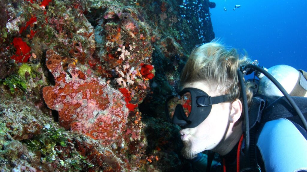 What is Nitrogen Narcosis: signs, symptoms and treatment (according to ...