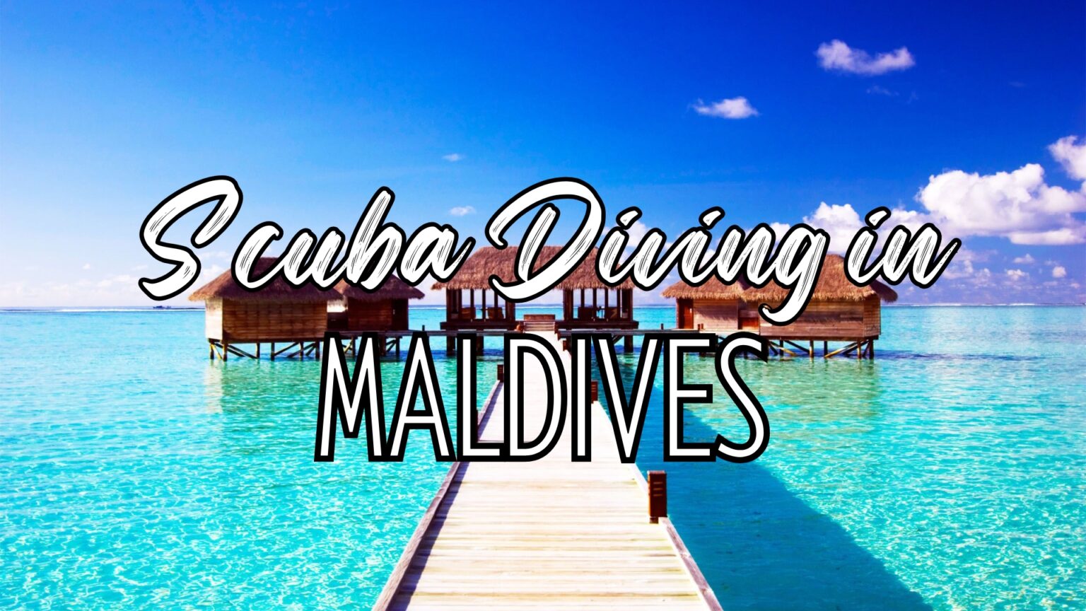 The Ultimate Guide to Scuba Diving In The Maldives ...