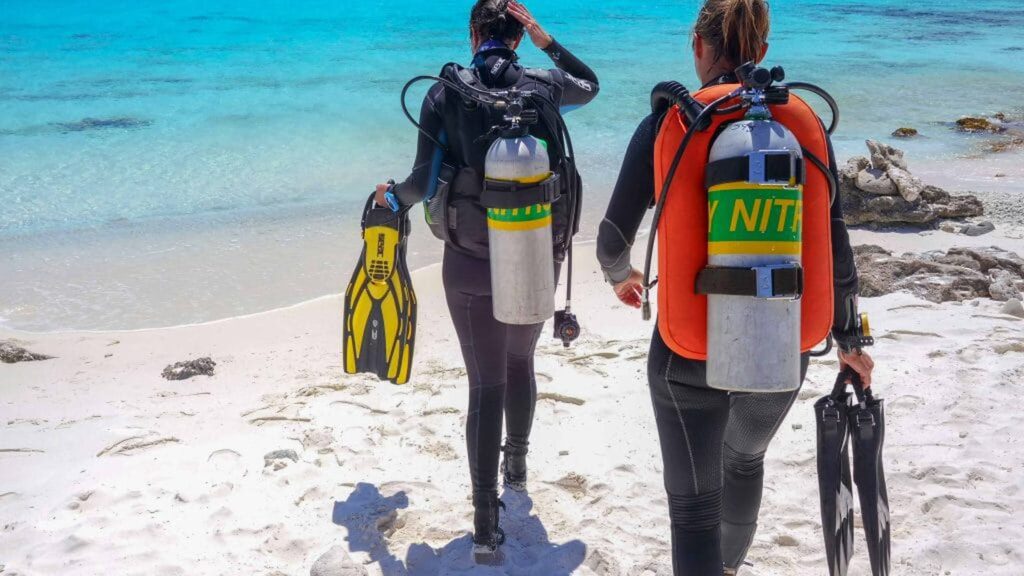 The Ultimate Guide to Scuba Diving In The Maldives ...