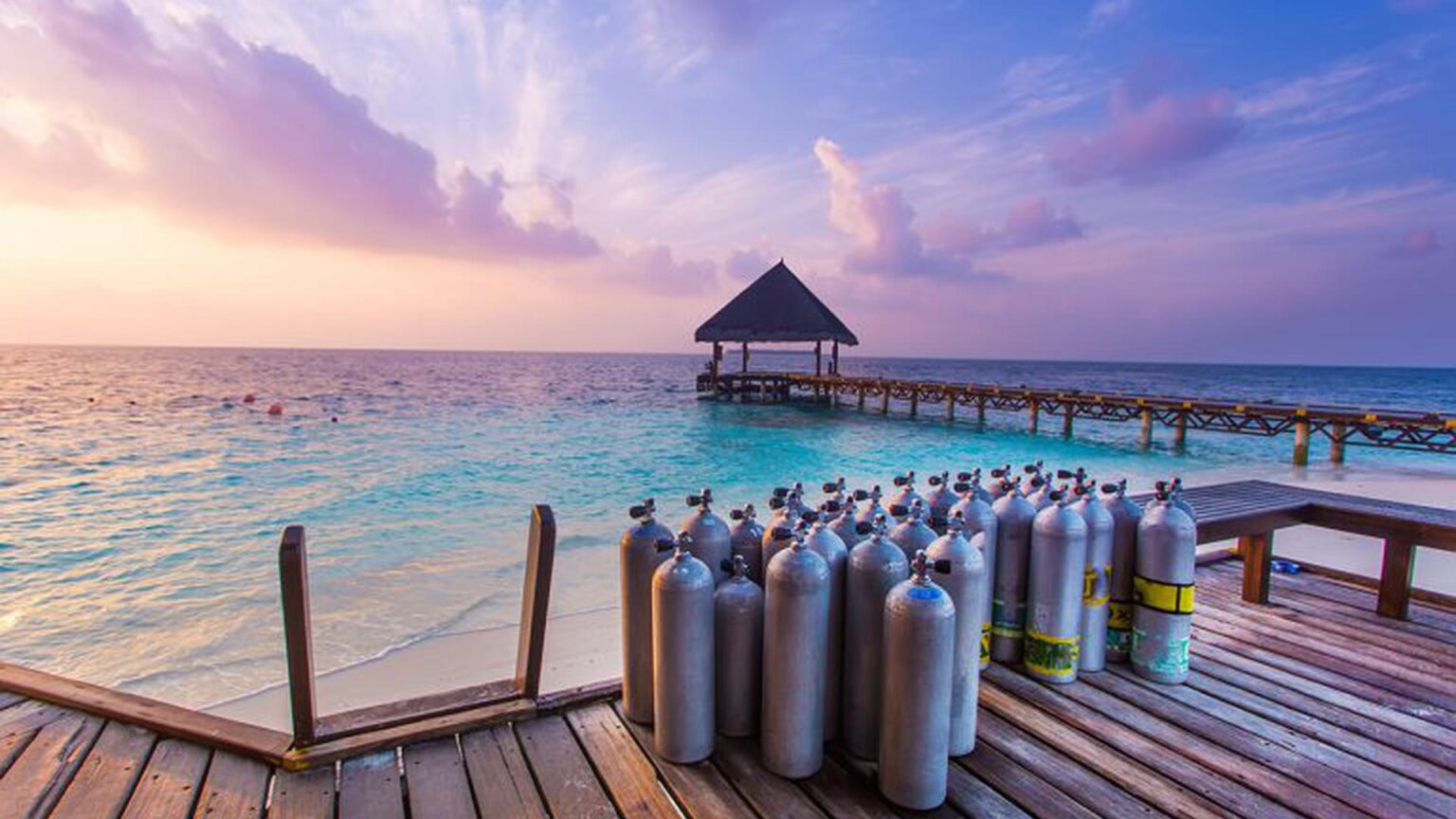 The Ultimate Guide to Scuba Diving In The Maldives ...